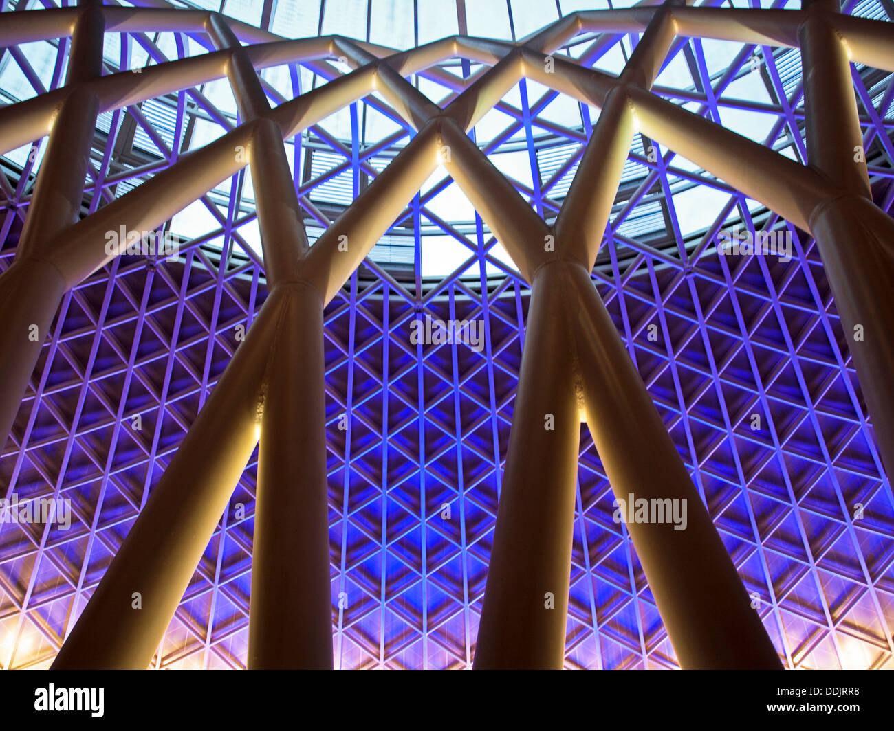 Detail of the steel lattice-work roof structure engineered by Arup, on ...
