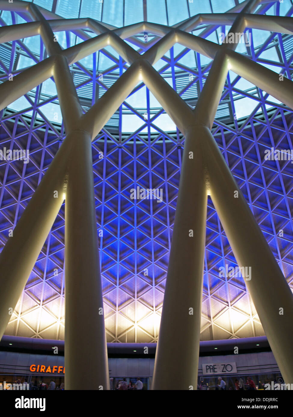 Detail of the steel lattice-work roof structure engineered by Arup on ...