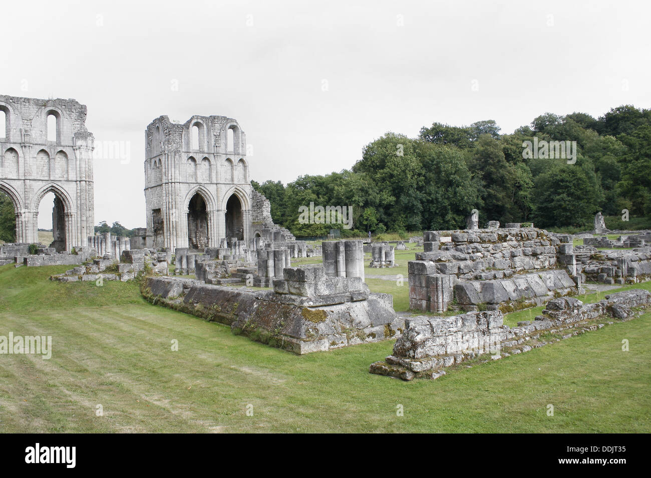 Roche Abbey, Maltby, Rotherham, South Yorkshire Stock Photo - Alamy