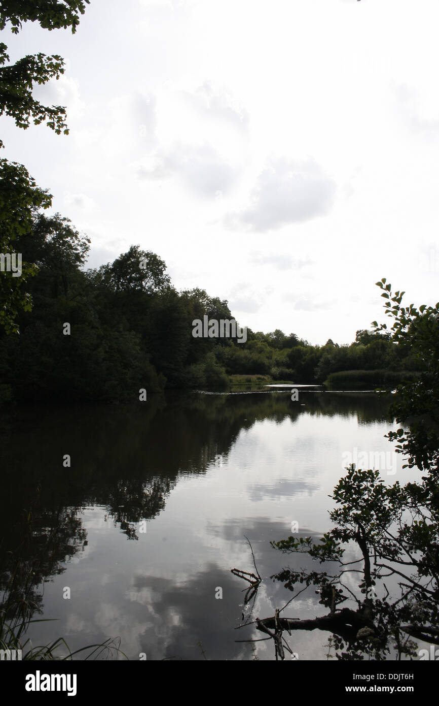 Roche Abbey, Maltby, Rotherham, South Yorkshire Stock Photo - Alamy