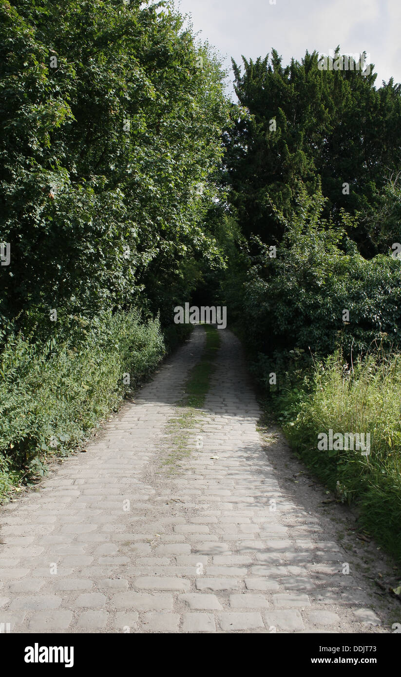 cliff path walk. Roche Abbey, Maltby, Rotherham, South Yorkshire Stock ...