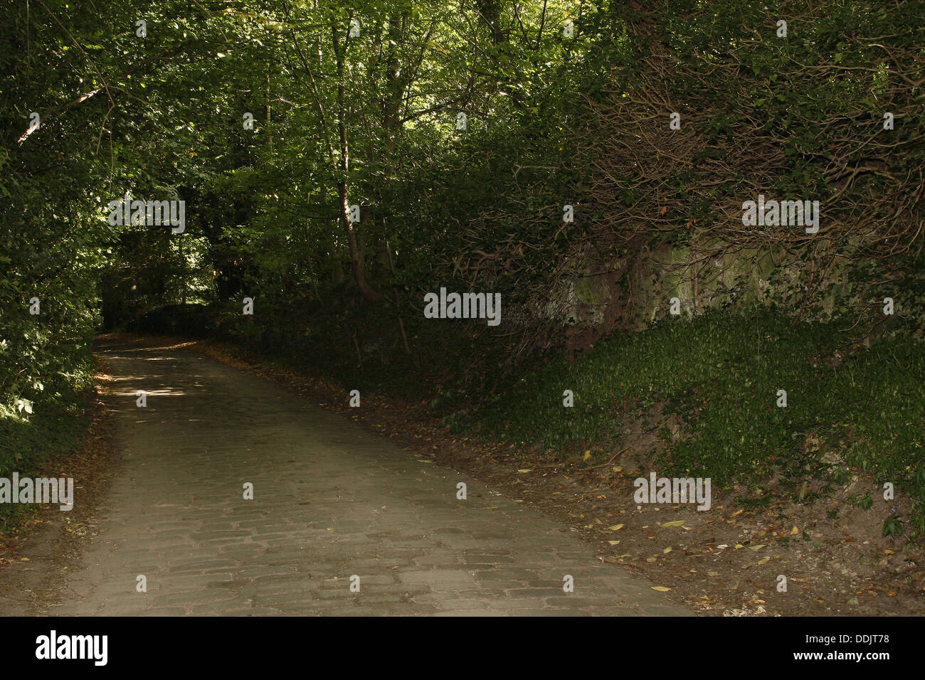 cliff path walk. Roche Abbey, Maltby, Rotherham, South Yorkshire Stock ...