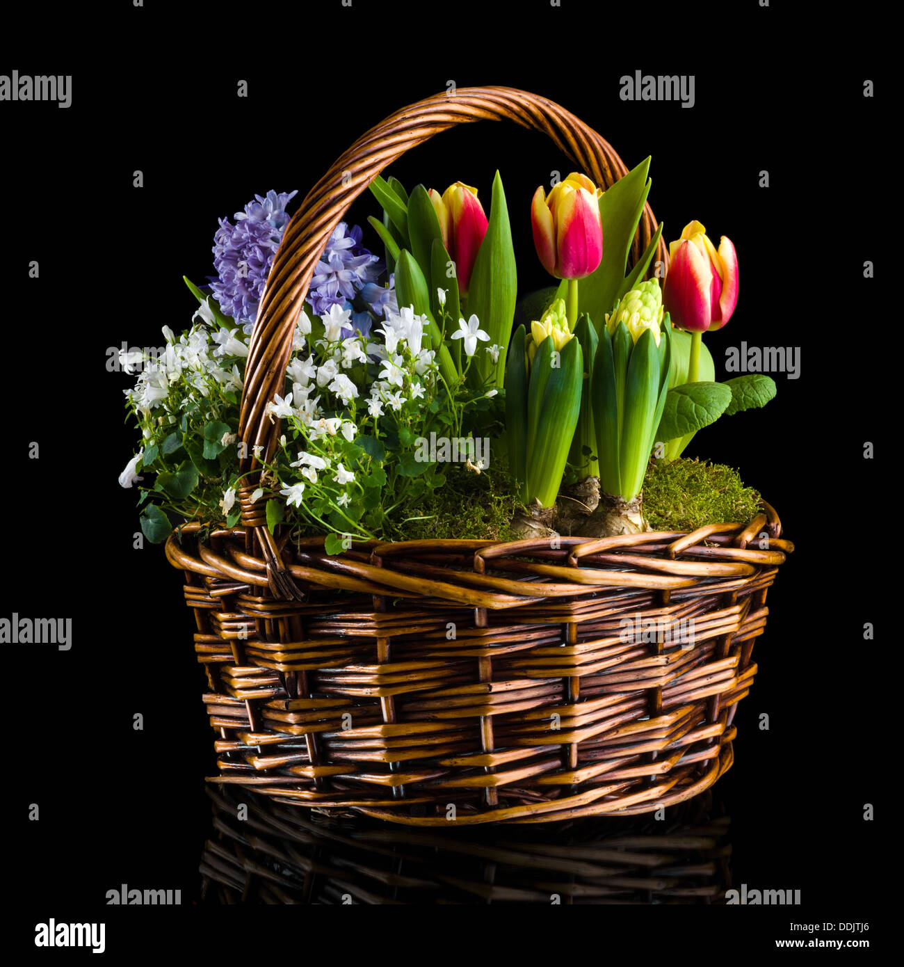 Garden flowers in basket Stock Photo - Alamy