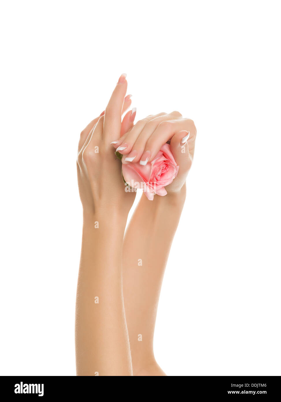 Women's hands with a rose Stock Photo - Alamy