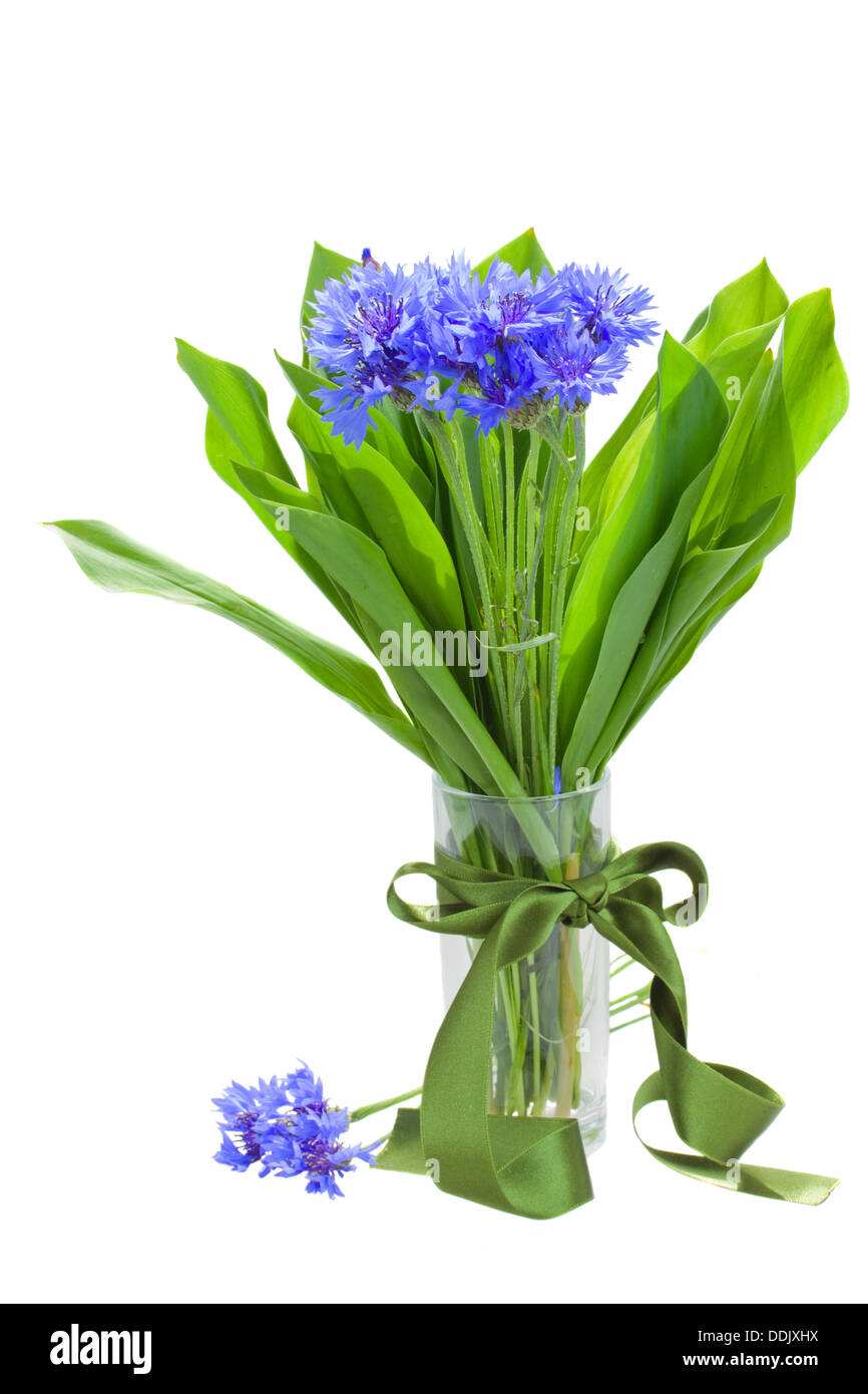 Cornflower vase Cut Out Stock Images & Pictures - Alamy