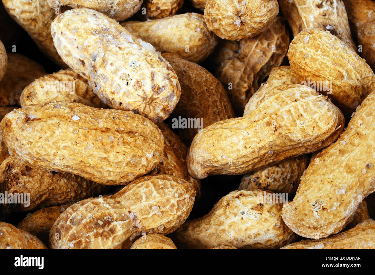 Monkey nut hi-res stock photography and images - Alamy