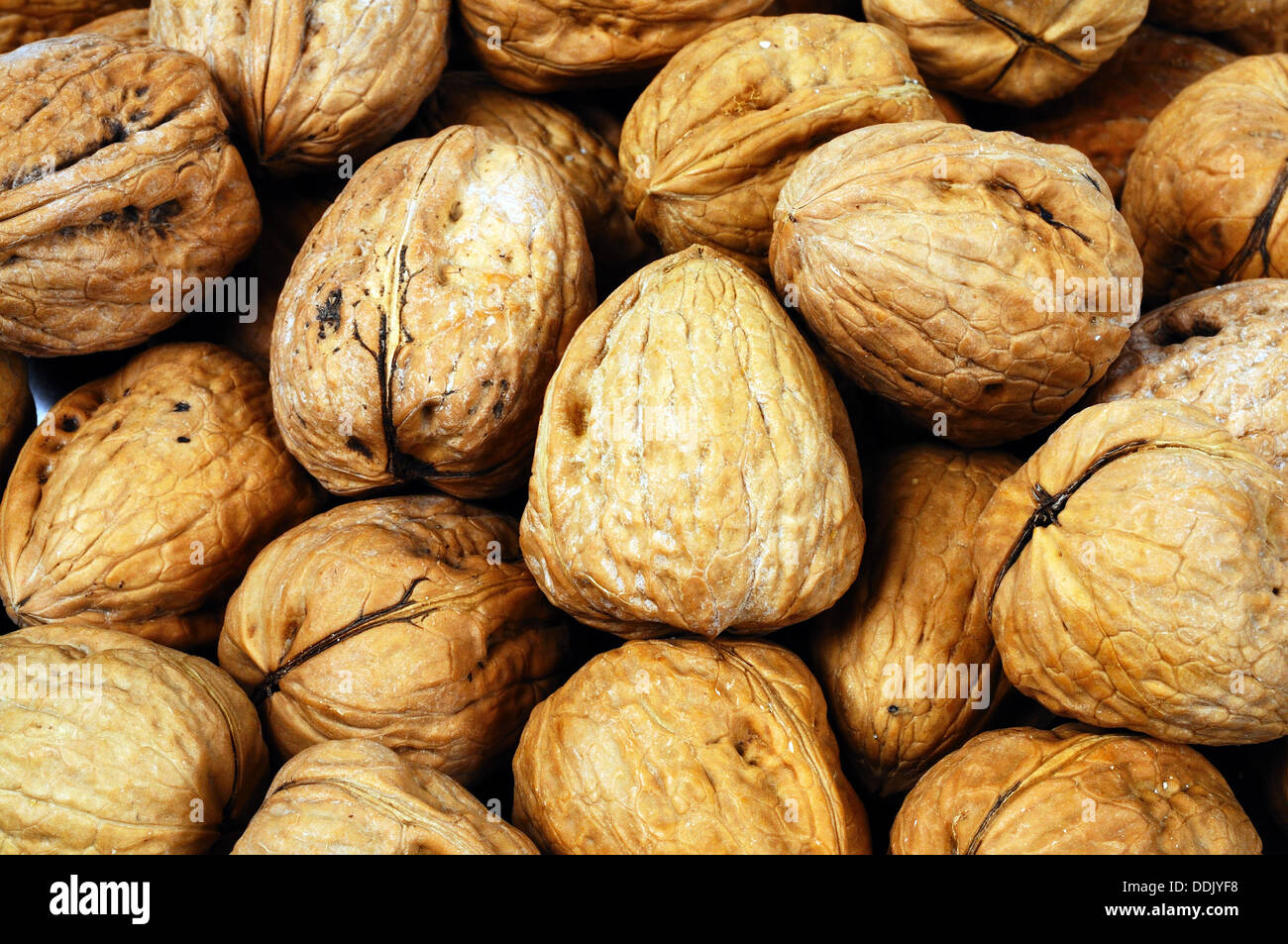 Walnuts in their shells hi-res stock photography and images - Alamy