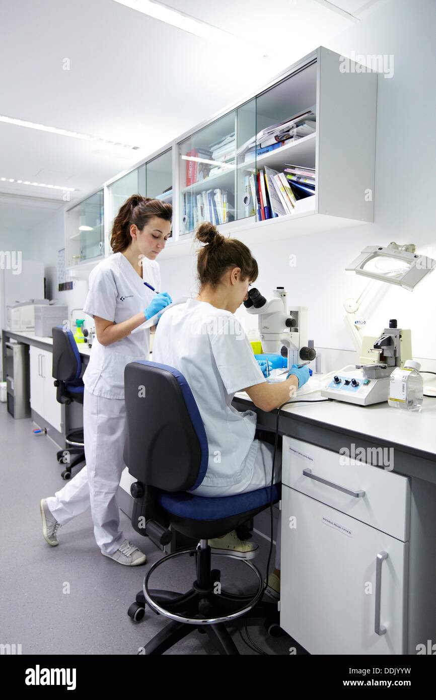 Dissection dissection hi-res stock photography and images - Alamy