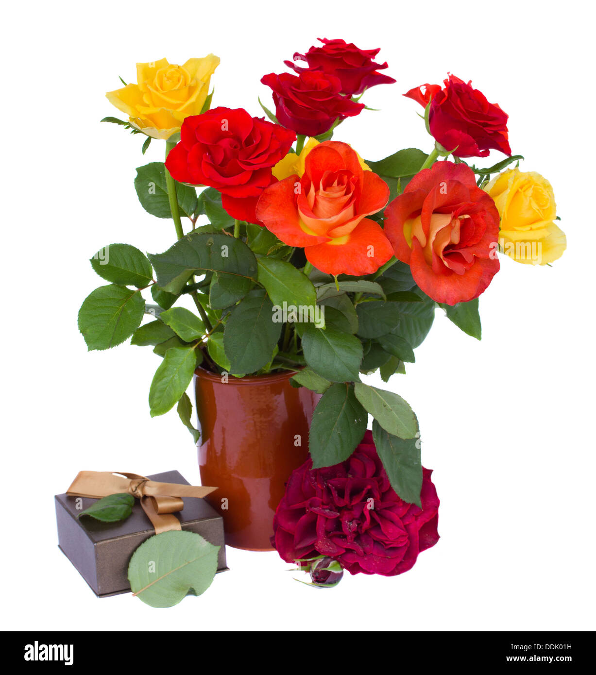 Orange roses in garden Cut Out Stock Images & Pictures - Alamy