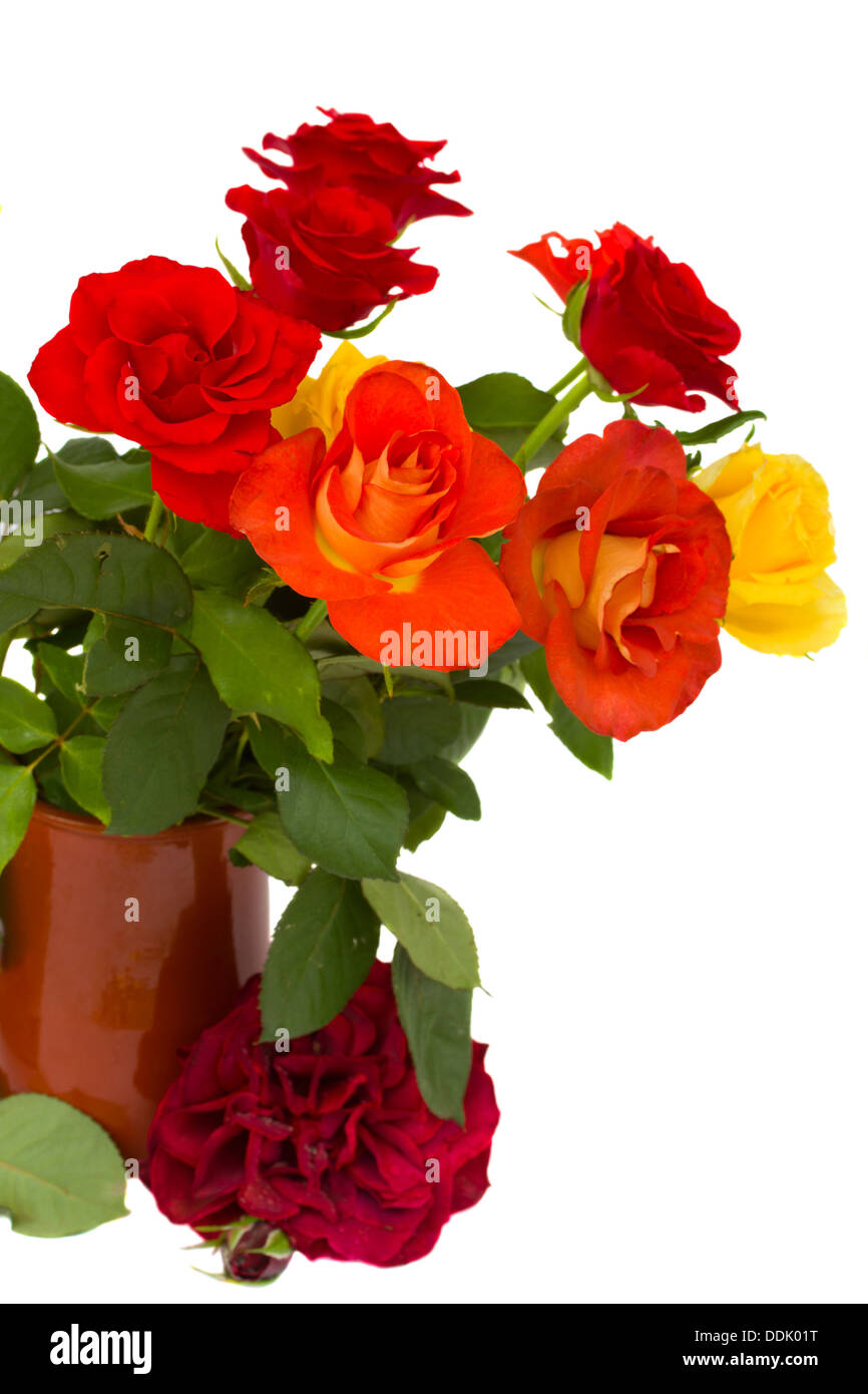 Bow ribbon roses leaves hi-res stock photography and images - Alamy