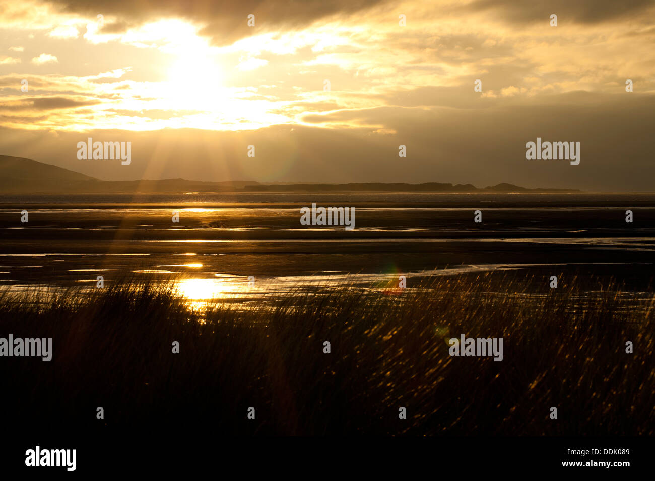 River loughor hi-res stock photography and images - Alamy
