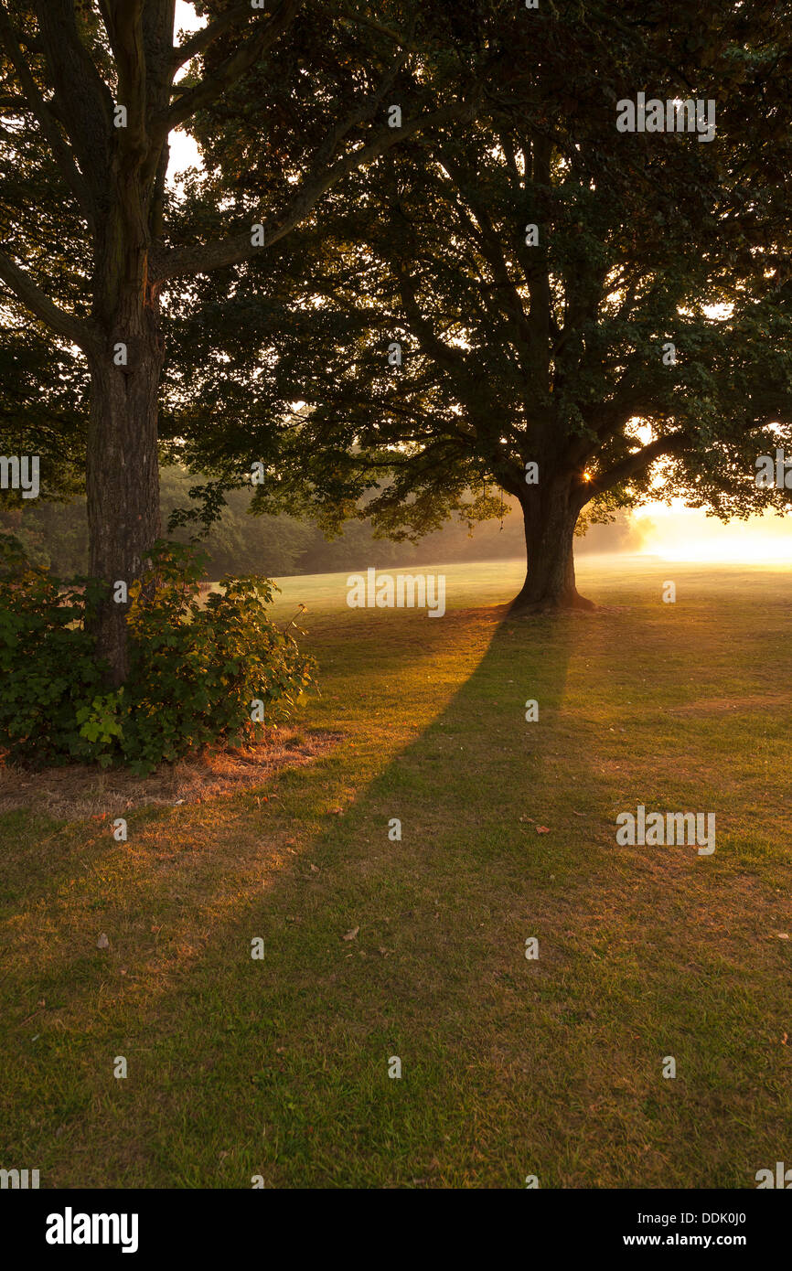 Sun burning off mist hi-res stock photography and images - Alamy