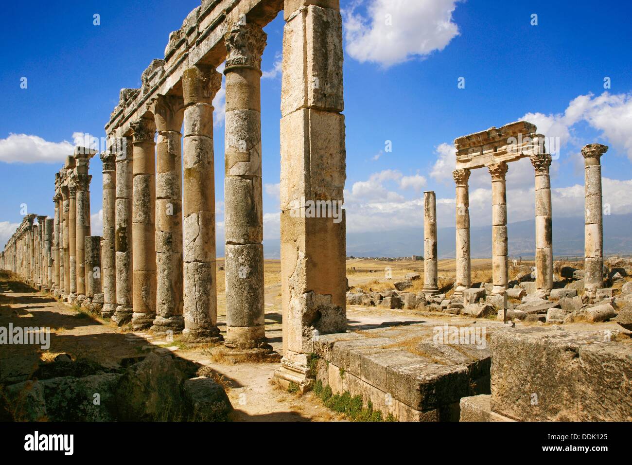 Syria, Apamea, columns of the citadel. Back, Qa´allat Al-Medik Stock ...