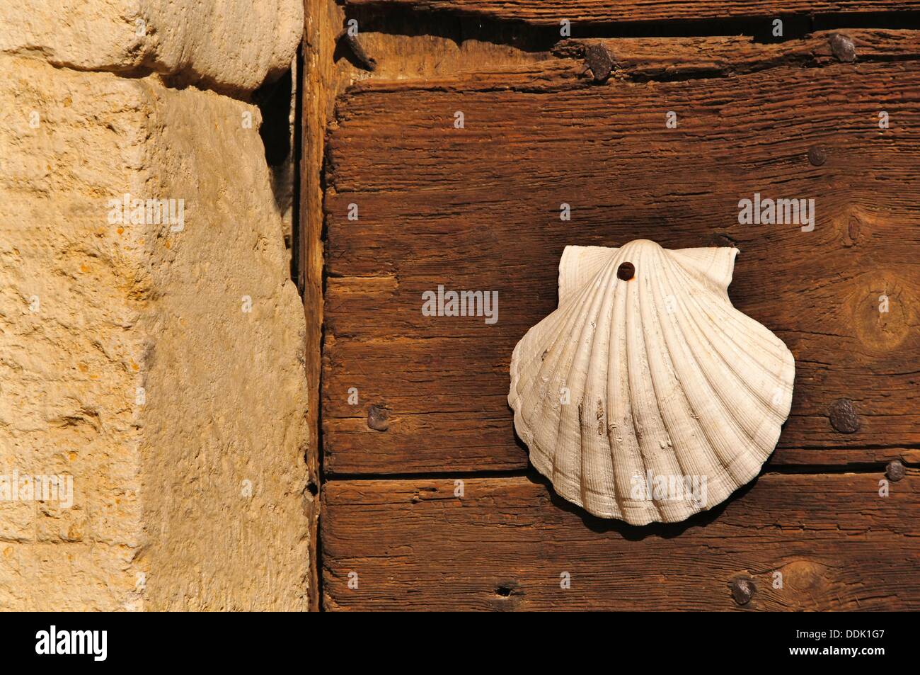 Shell of church hi-res stock photography and images - Alamy