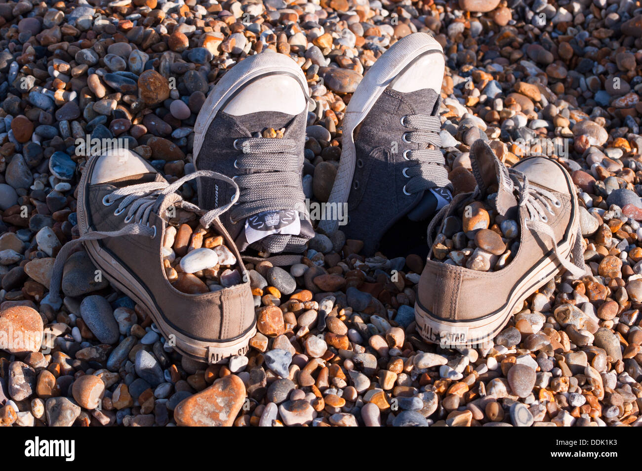snickers on pebble beach Stock Photo - Alamy