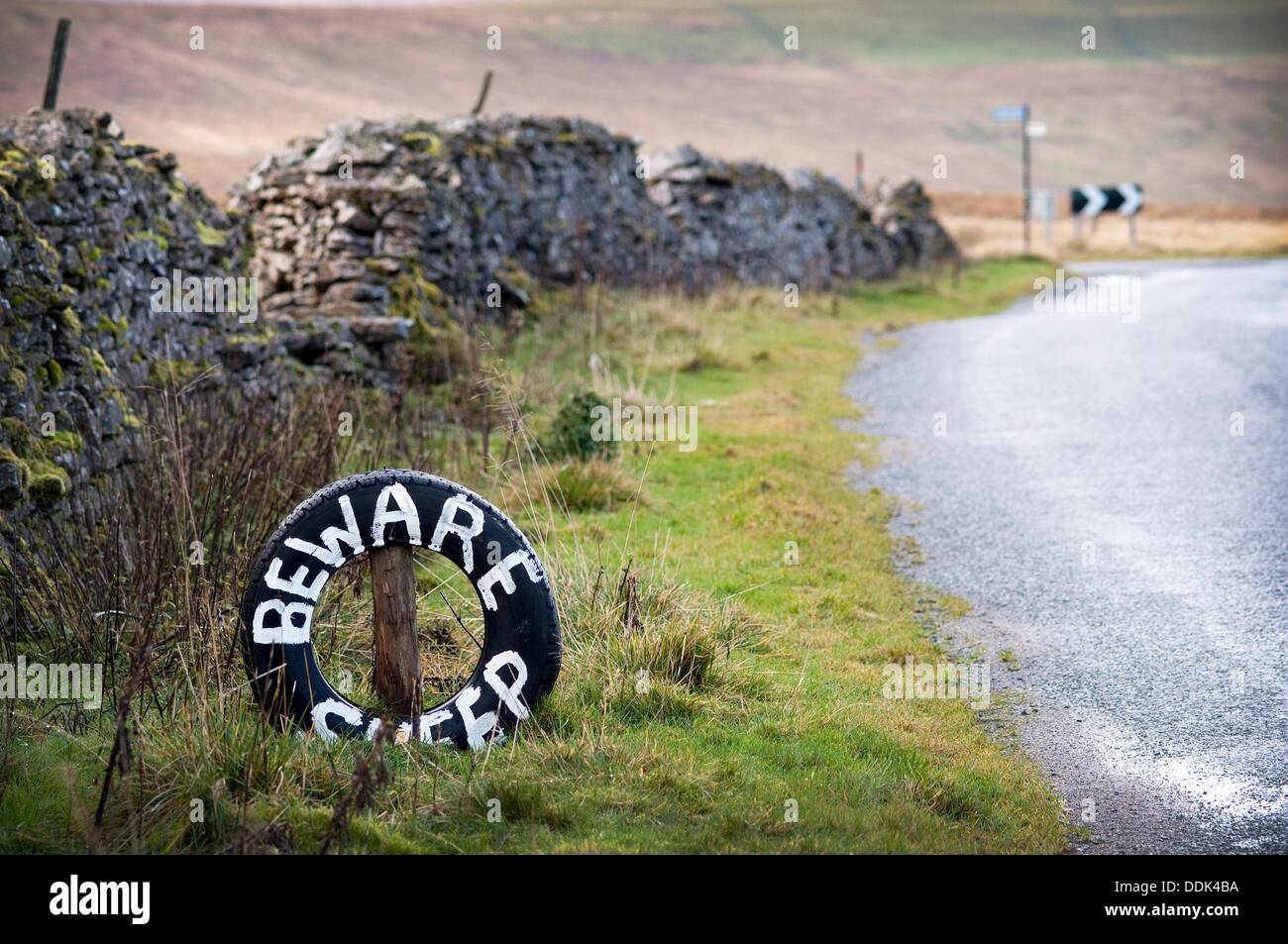 Beware of sheep hi-res stock photography and images - Alamy