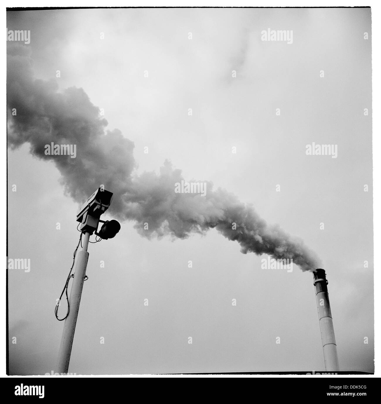 White sugar factory hi-res stock photography and images - Alamy
