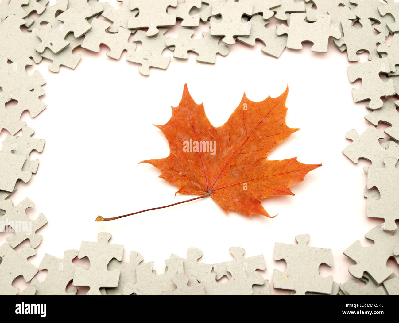 Puzzle and leaves on a white background Stock Photo - Alamy