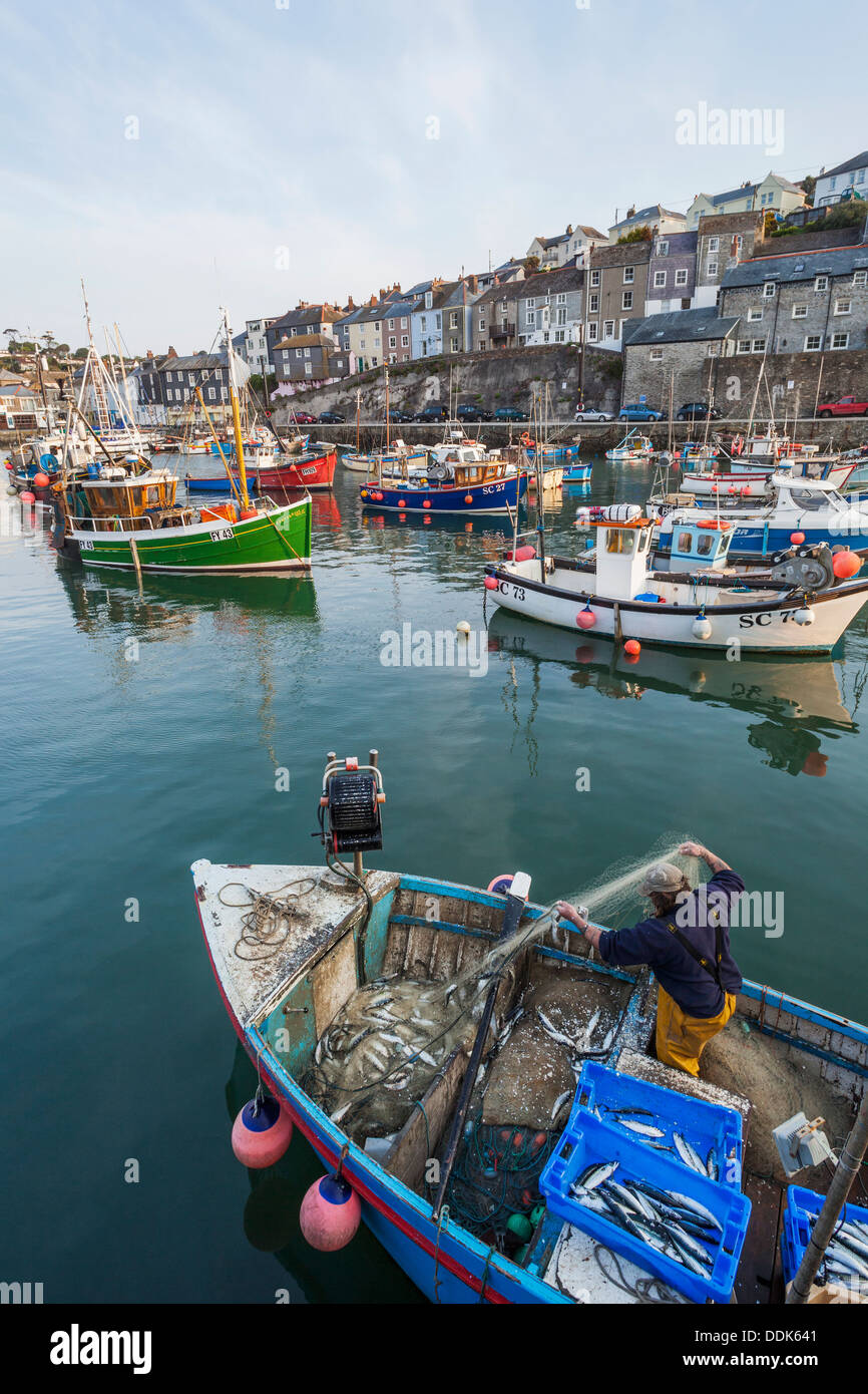 Mackerel catch england hi-res stock photography and images - Alamy