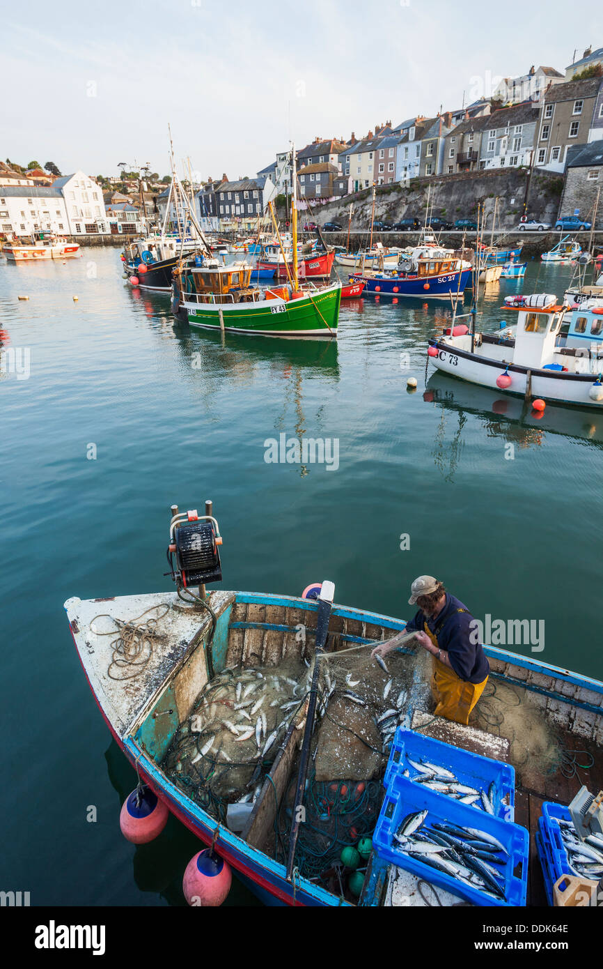 Mackerel catch england hi-res stock photography and images - Alamy