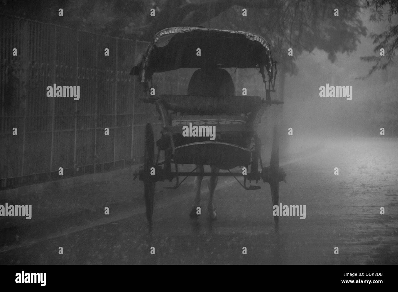 Horse and carriage being pulled through monsoon Stock Photo - Alamy