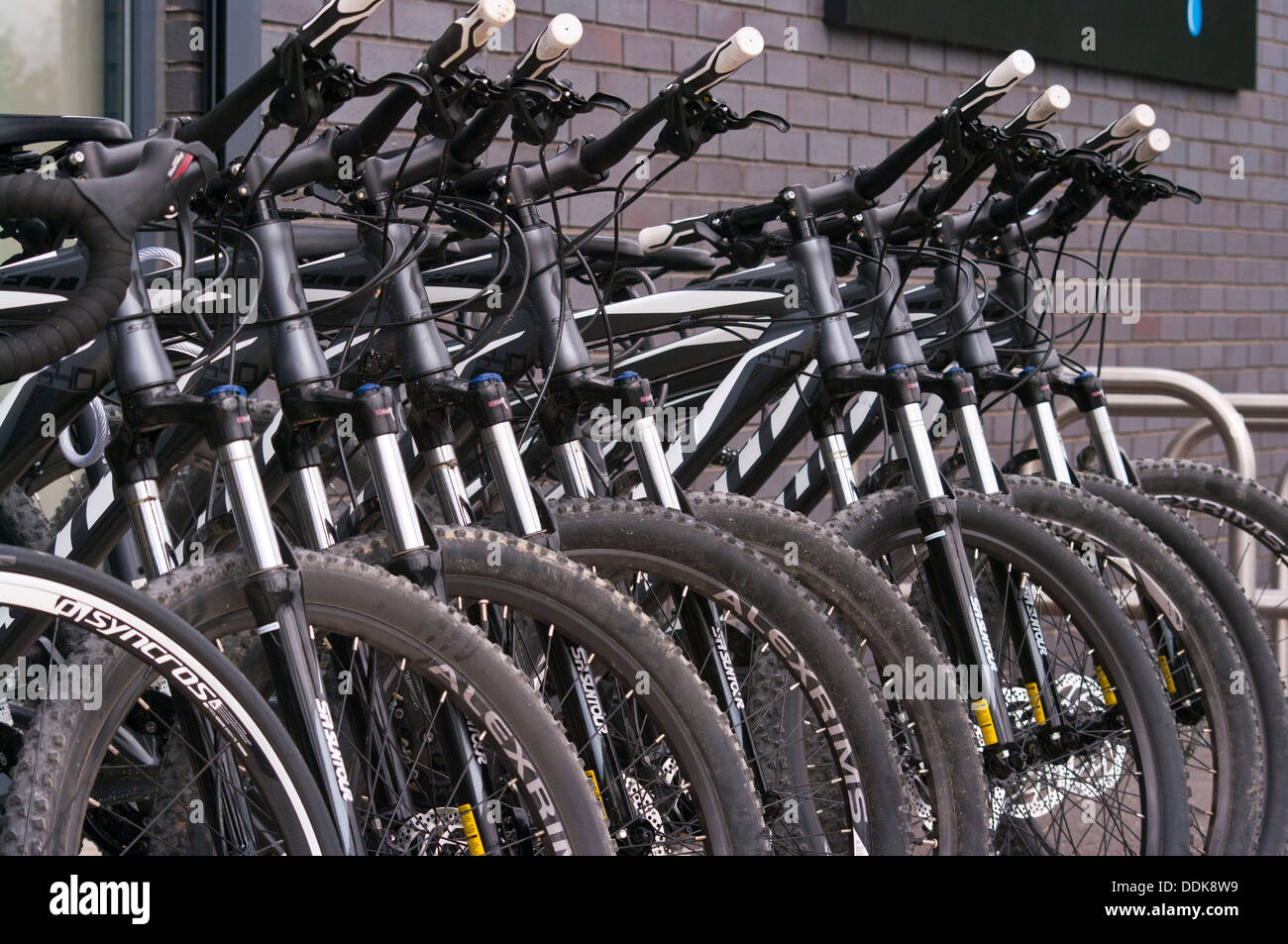 Row of Bicycles Front Wheels Stock Photo - Alamy