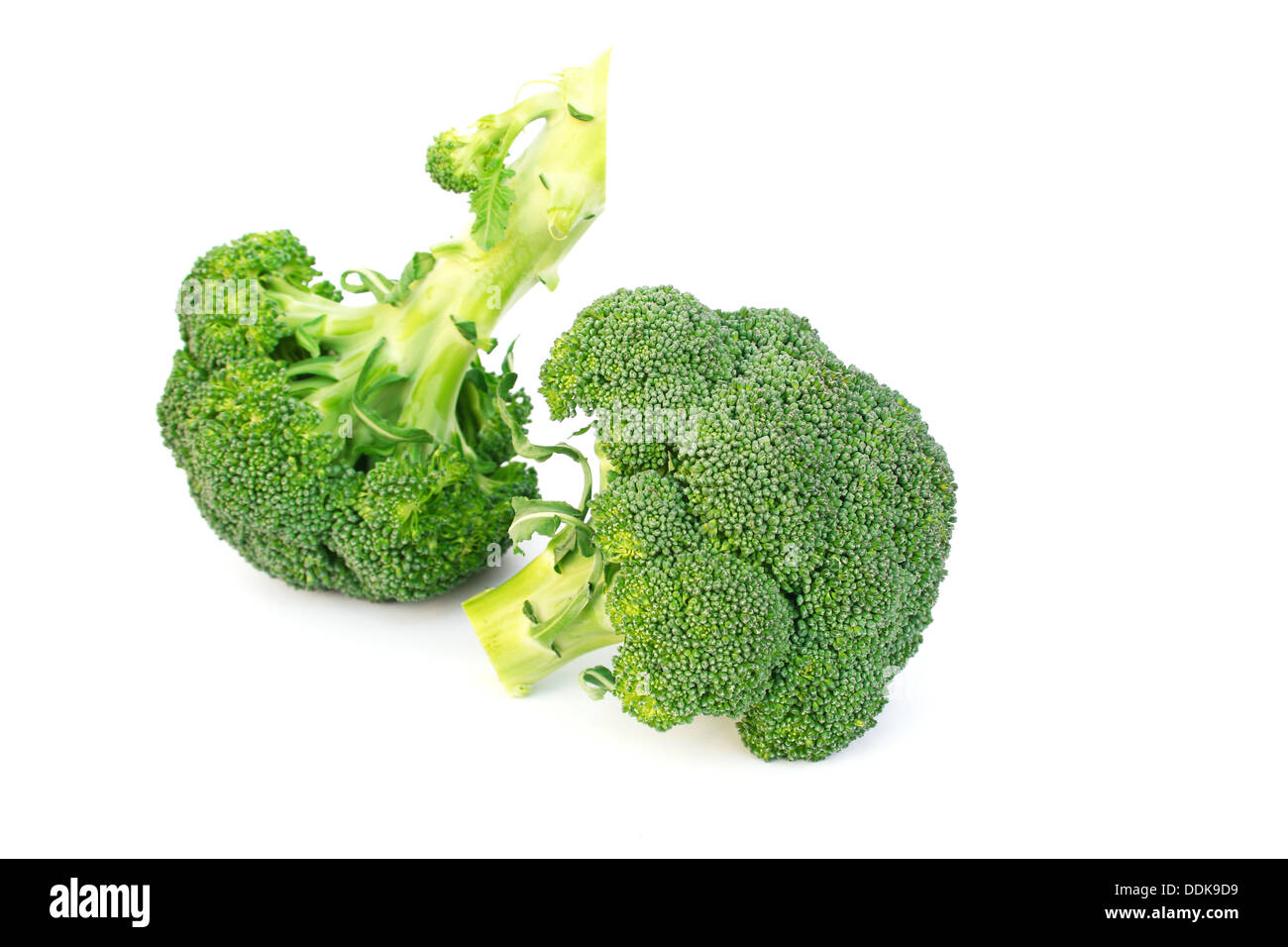Broccoli isolated on white background Stock Photo - Alamy