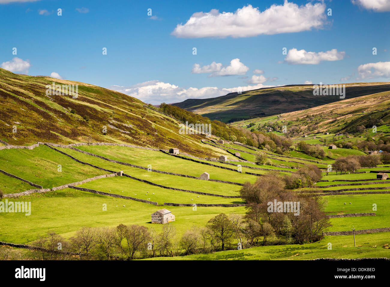 Yorkshre dales hi-res stock photography and images - Alamy