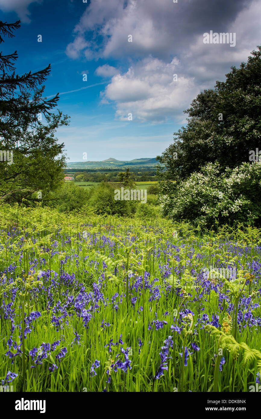 North york national park hi-res stock photography and images - Alamy