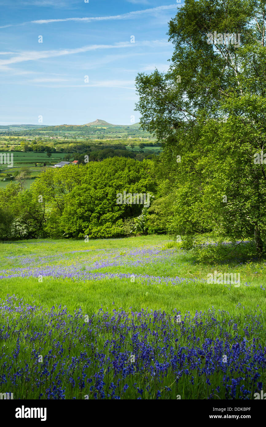 Clay bank north york uk hi-res stock photography and images - Alamy