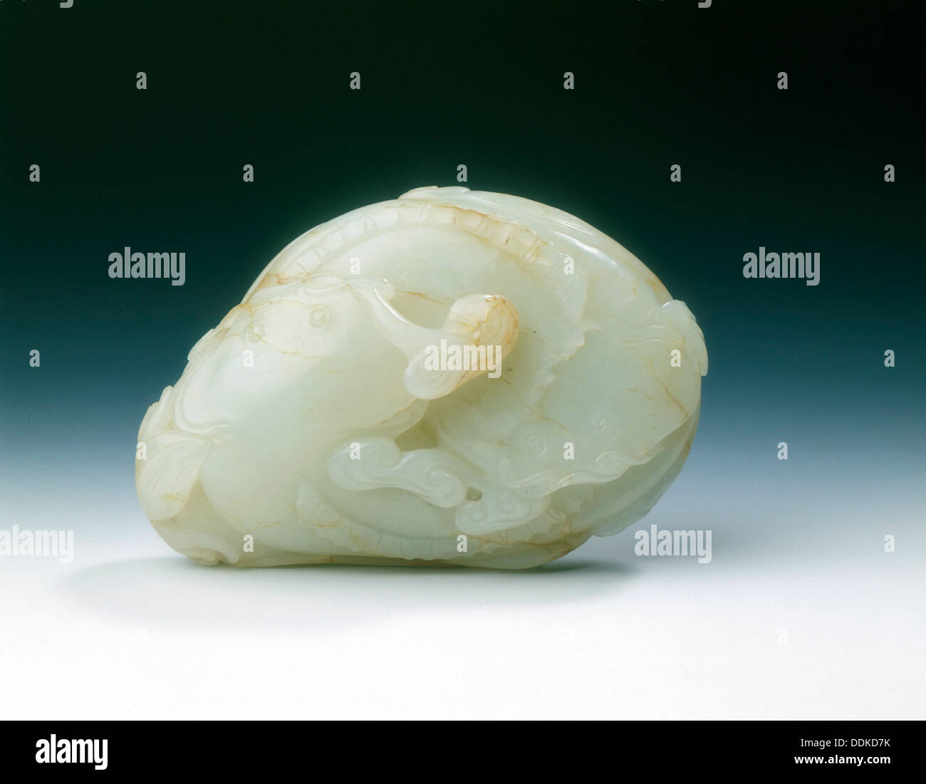 Catfish Museum High Resolution Stock Photography and Images - Alamy