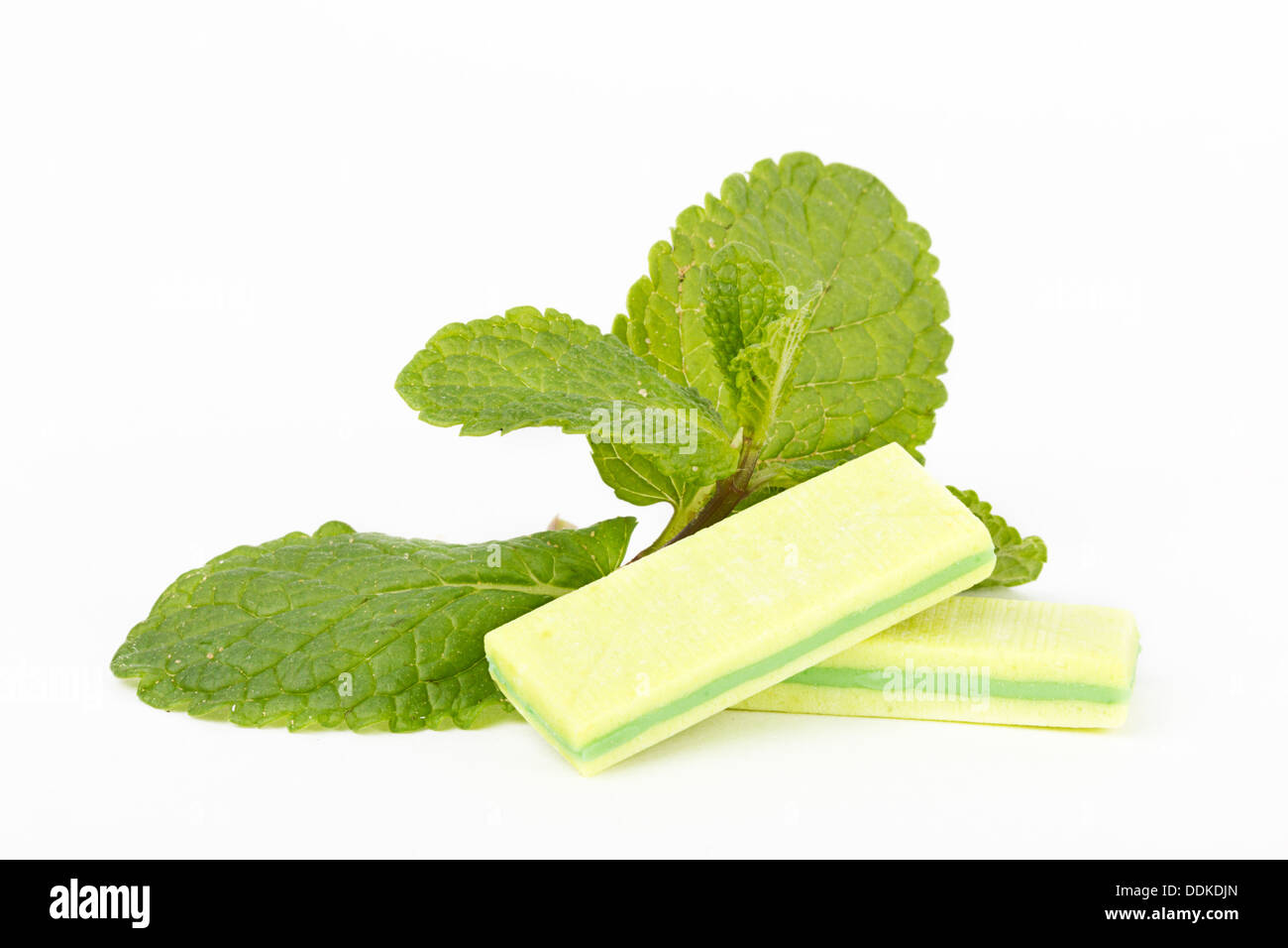 Mint leaf chewing gum Cut Out Stock Images & Pictures - Alamy
