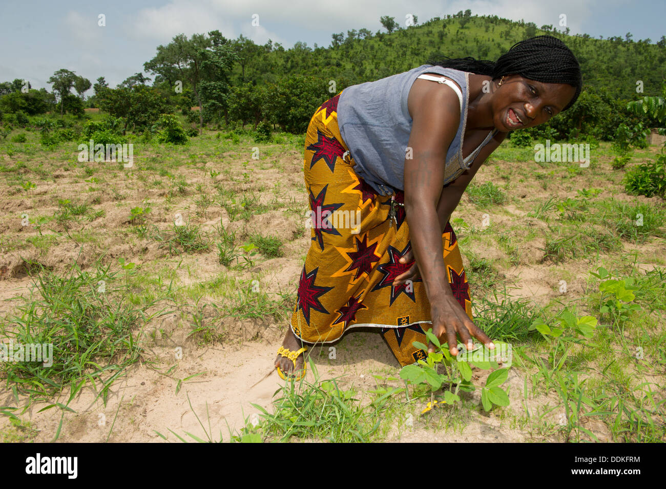 Pointing at plant hi-res stock photography and images - Alamy