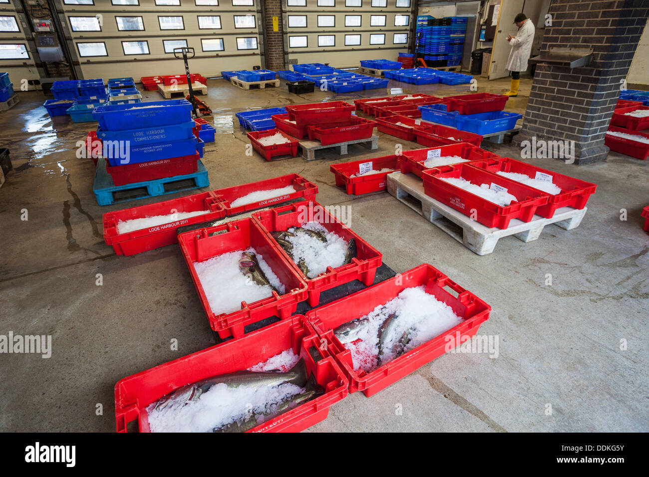 Looe fish market hi-res stock photography and images - Alamy