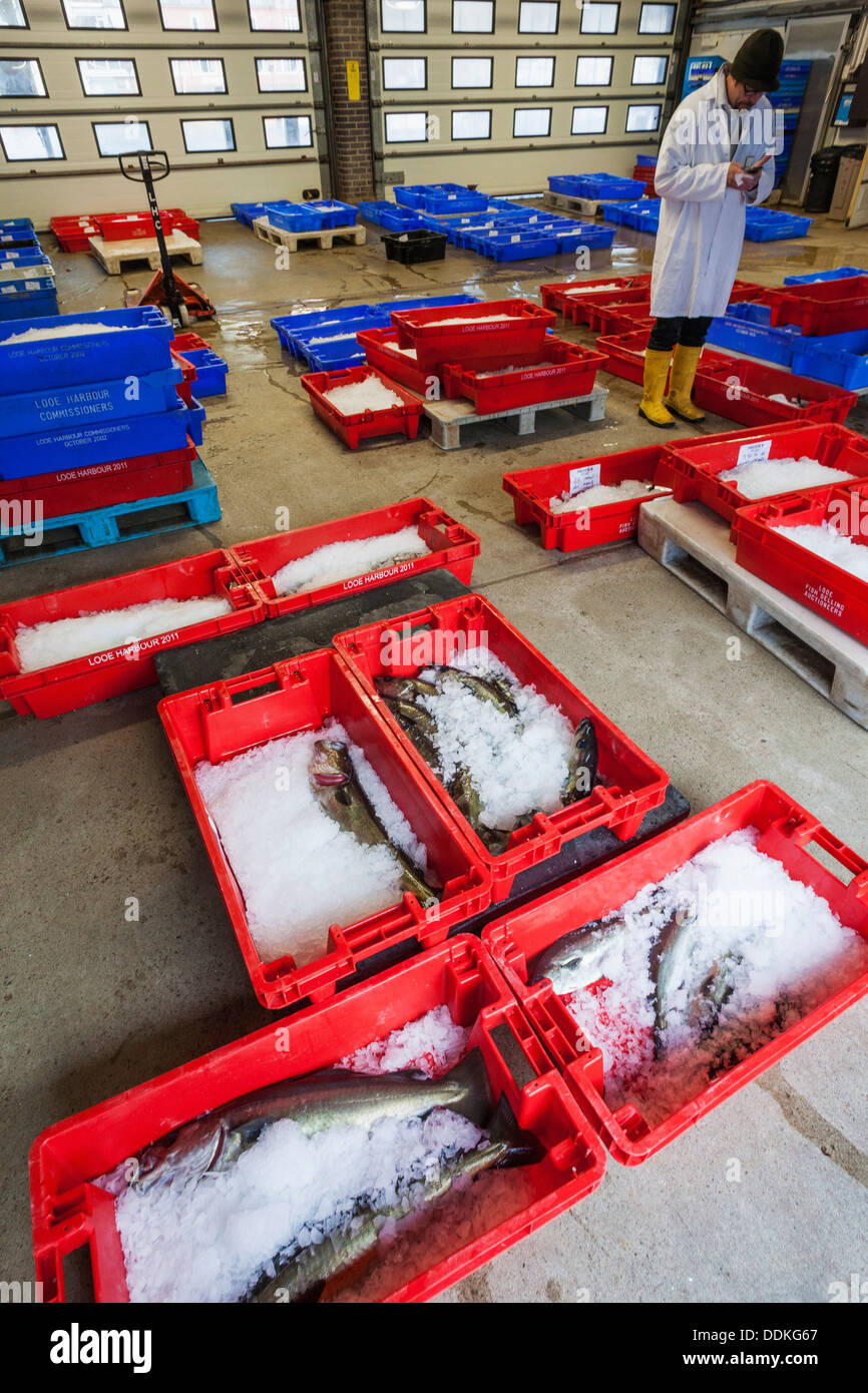 Looe fish hi-res stock photography and images - Alamy