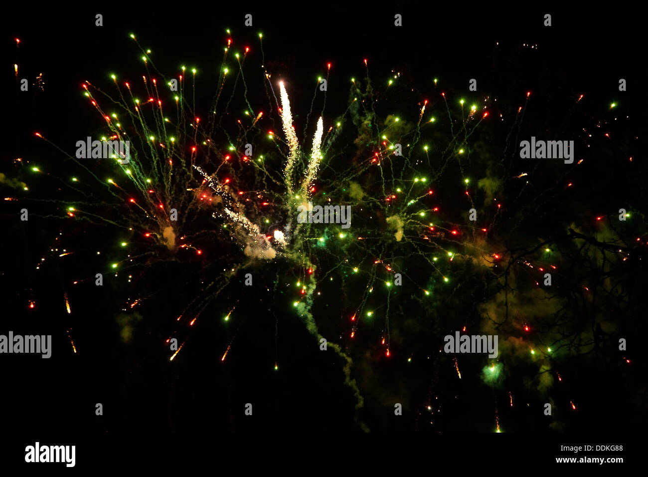 Fireworks Display, Mid-Winter Carnival, The Octagon, Dunedin, South ...