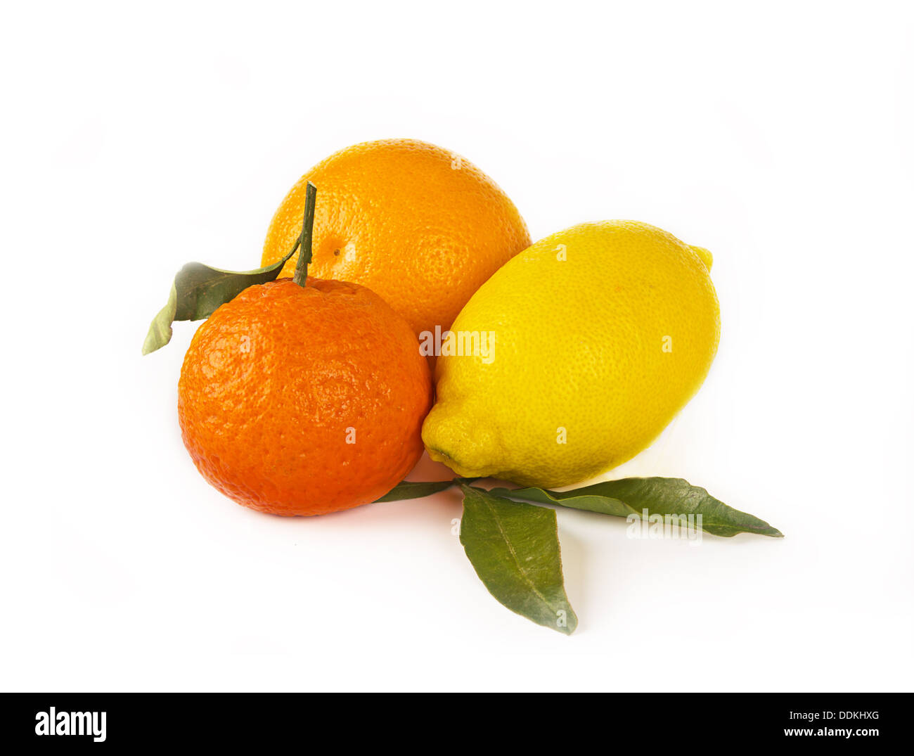 Citrus fruits on white Stock Photo - Alamy