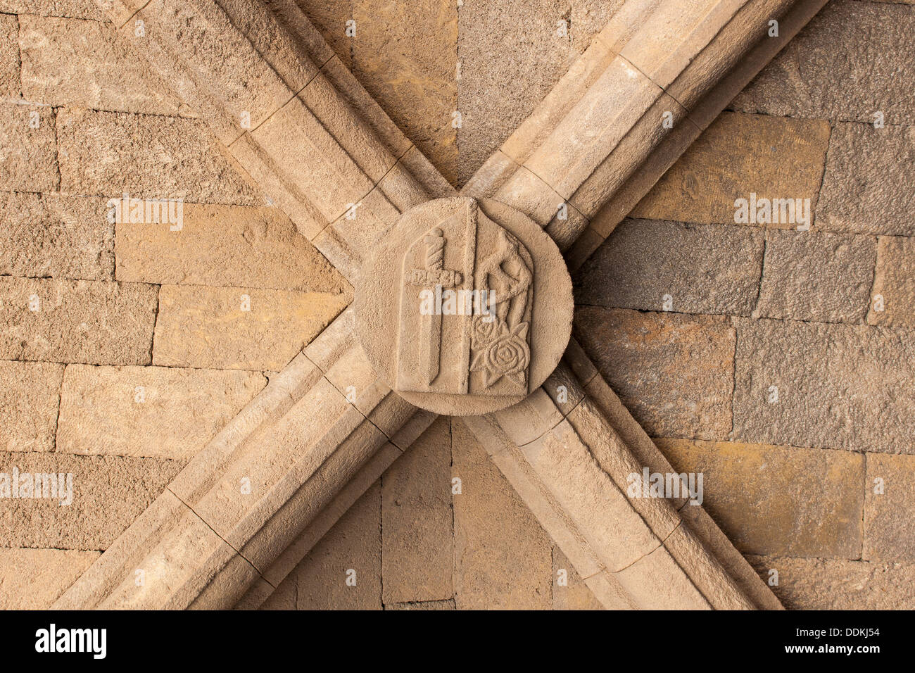 Medieval knights hi-res stock photography and images - Alamy