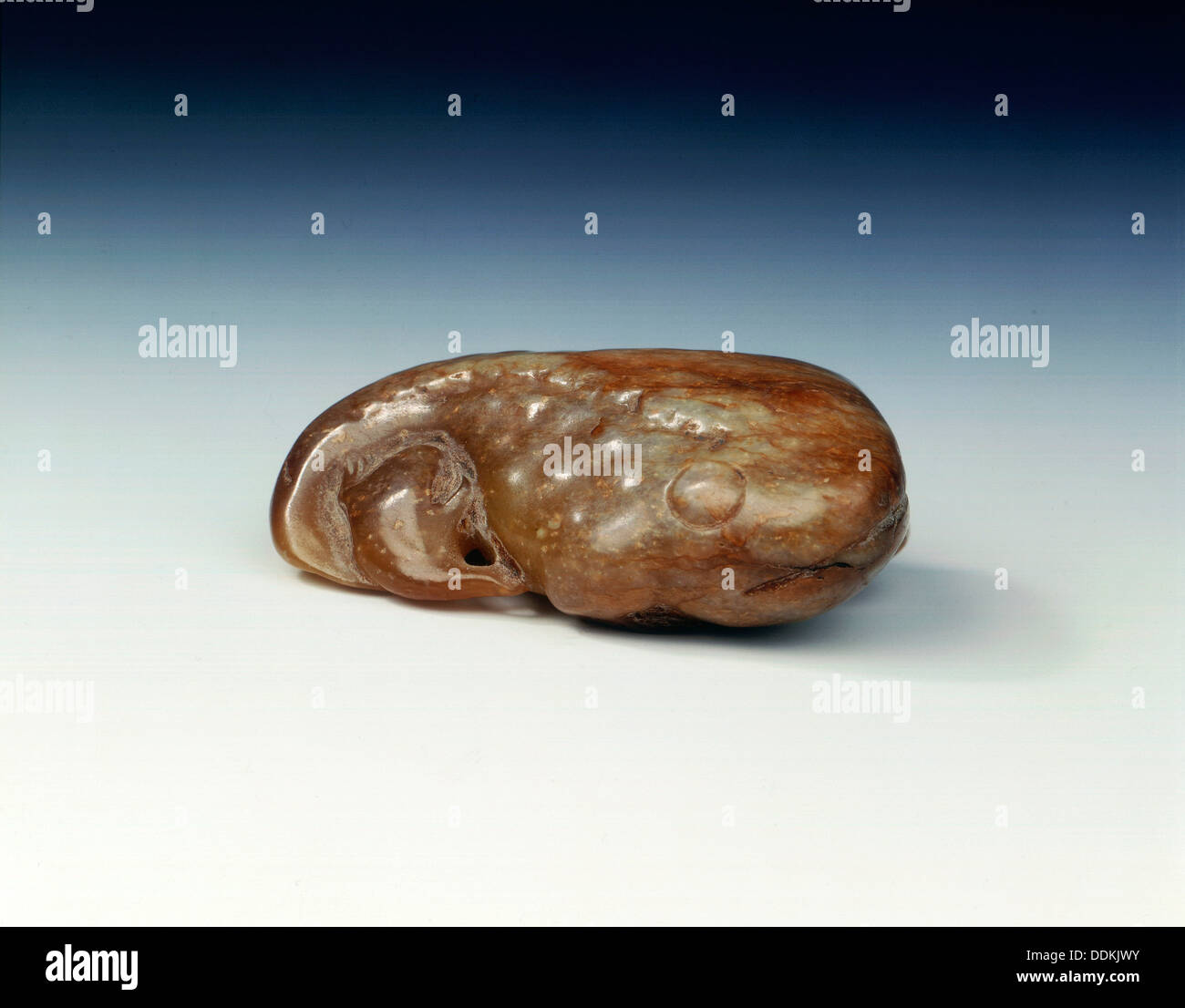 Three legged toad hi-res stock photography and images - Alamy