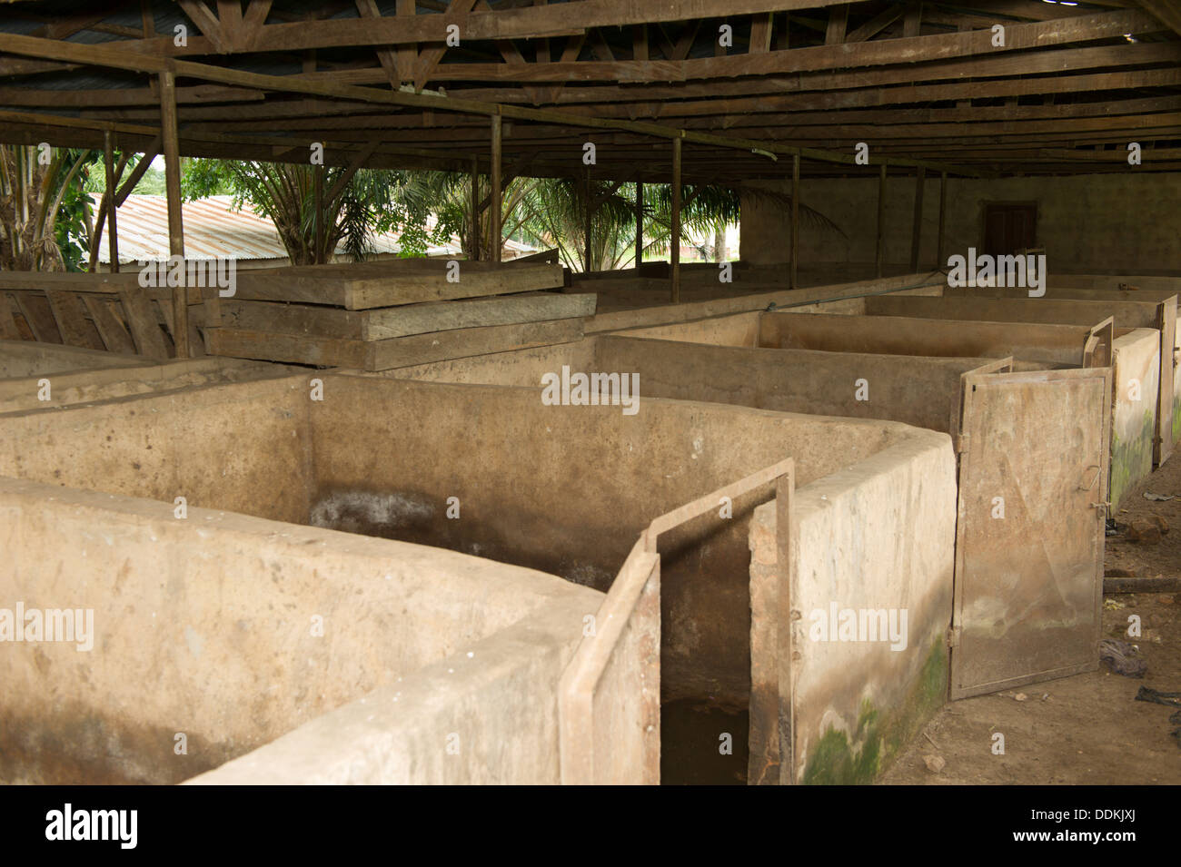 pigsty in Nigeria Stock Photo - Alamy