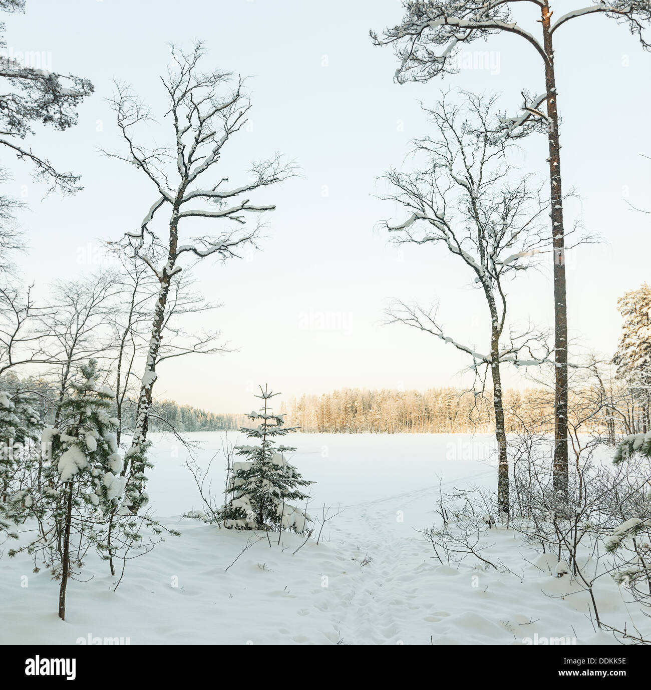 Winter lake covered with snow and ice Stock Photo - Alamy