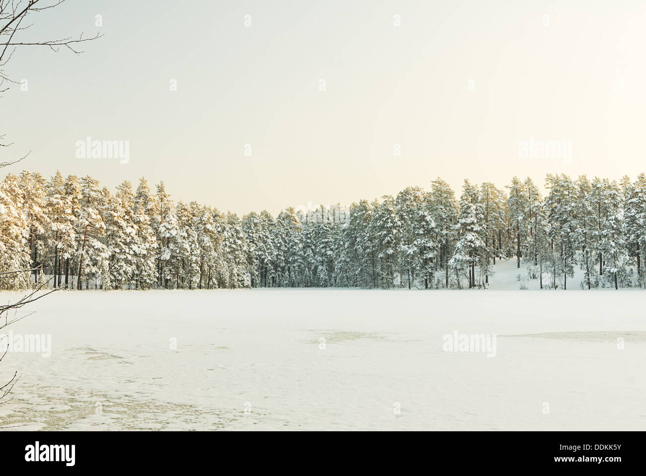 Winter lake covered with snow and ice Stock Photo - Alamy