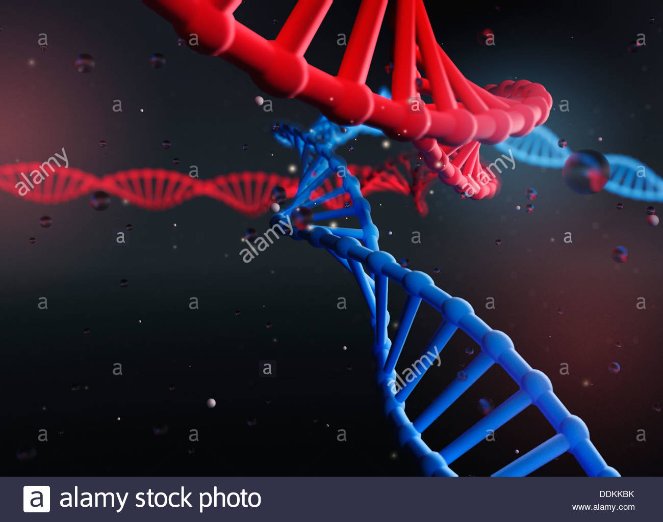 Double Bubble Stock Photos & Double Bubble Stock Images - Alamy