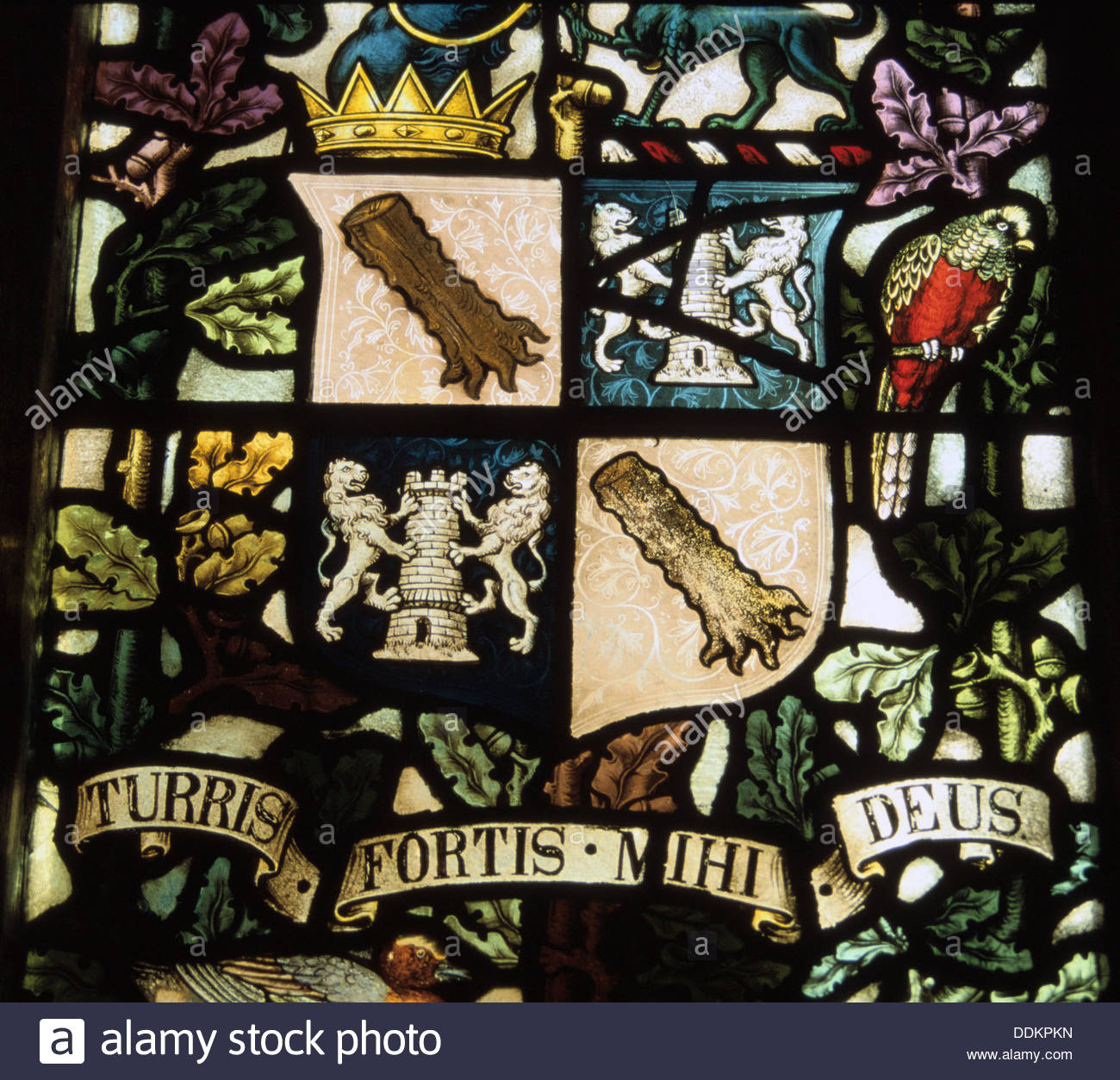 St Andrews Coat Of Arms Stock Photos & St Andrews Coat Of Arms Stock ...