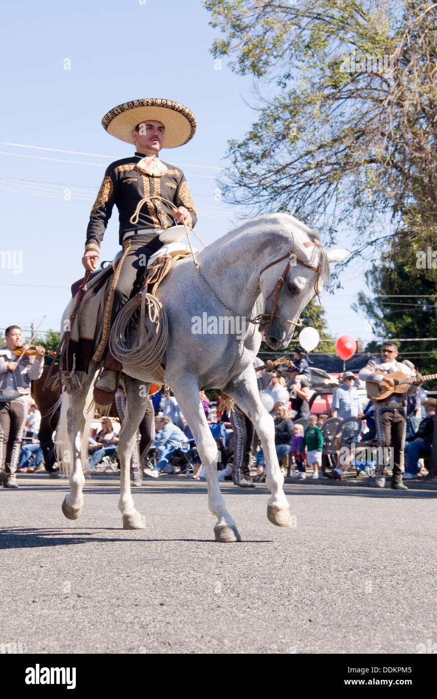 Mariachi band performing usa hi-res stock photography and images - Alamy