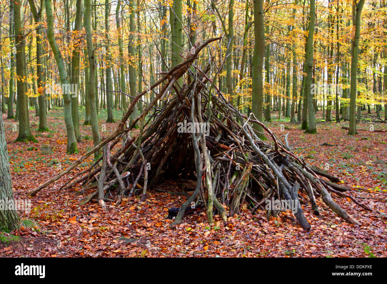 Shelter made of branches hi-res stock photography and images - Alamy