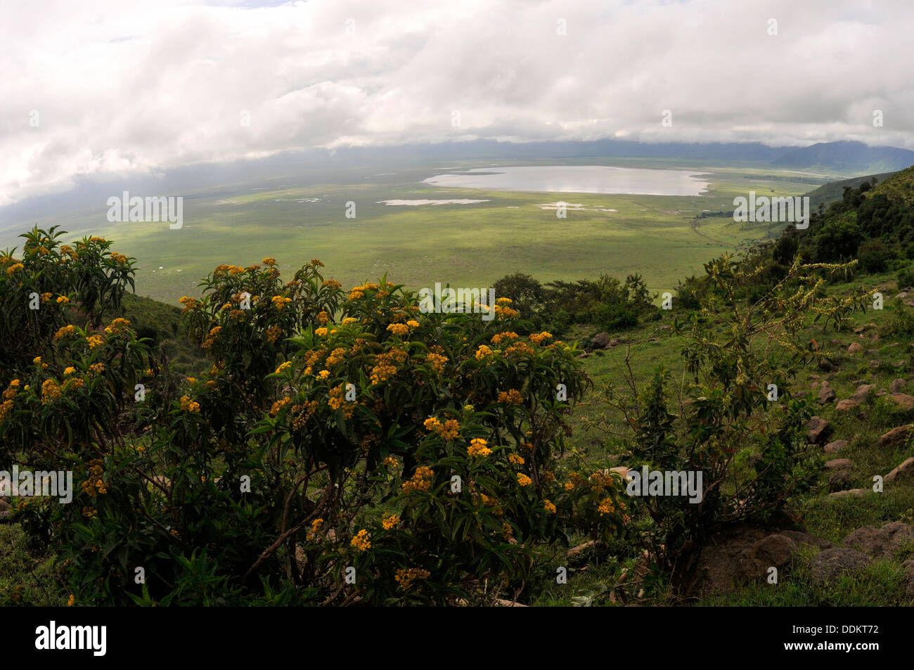 Aerial serengeti hi-res stock photography and images - Alamy