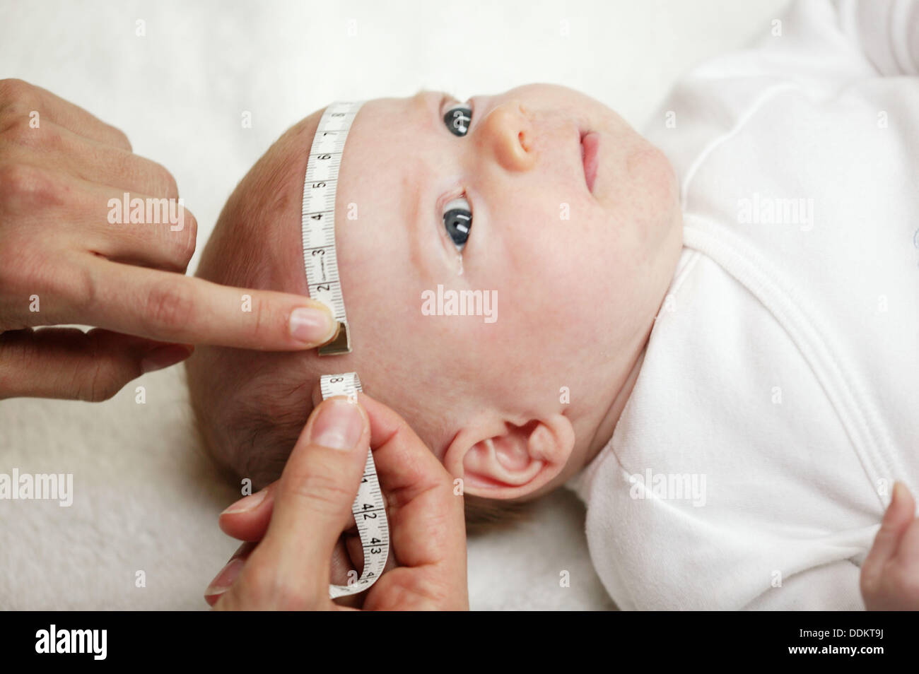 Baby cranium hi-res stock photography and images - Alamy