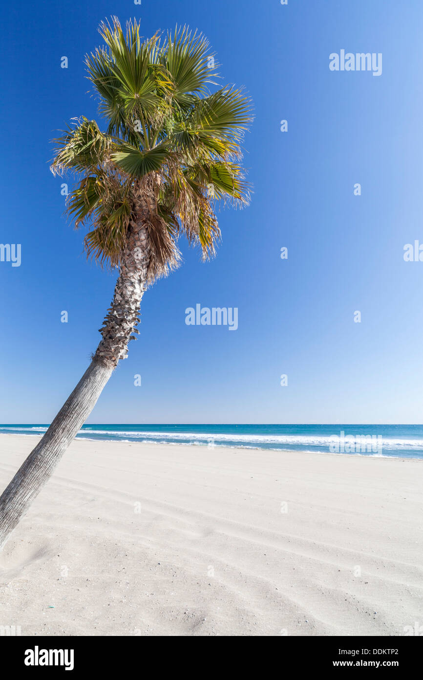 Comarruga hi-res stock photography and images - Alamy