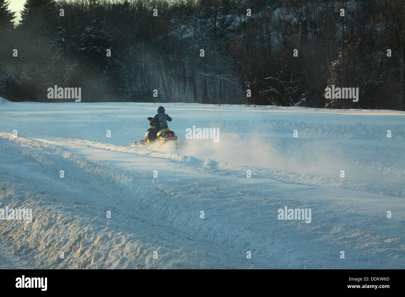 Snowmobile and rider, racing down a snow covered trail Stock Photo - Alamy